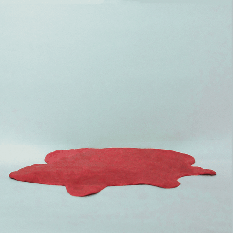 GIF by oliviaorr - Find & Share on GIPHY