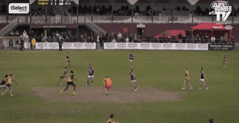 How they start games of Australian Football. : sports