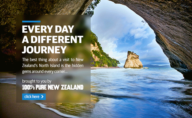 New Zealand GIF - Find & Share on GIPHY