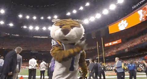 Tiger Mascot GIFs - Find & Share on GIPHY