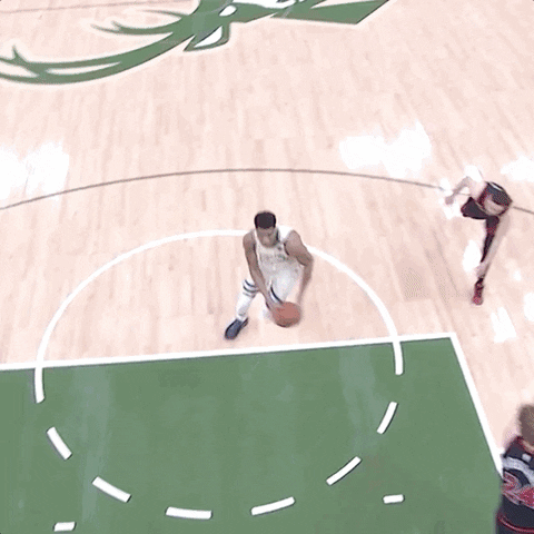 Fiserv Forum Basketball GIF by Milwaukee Bucks - Find & Share on GIPHY