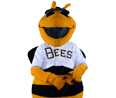 Bumble Bee Baseball Sticker by Salt Lake Bees for iOS & Android | GIPHY