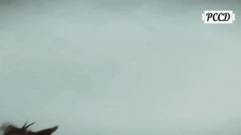 Activity » azzo » Dramabeans