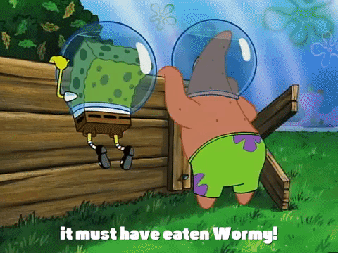 Season 2 GIF by SpongeBob SquarePants - Find & Share on GIPHY