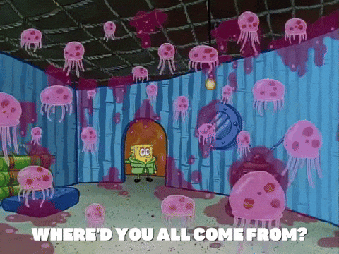 Season 1 Hall Monitor GIF by SpongeBob SquarePants - Find & Share on GIPHY
