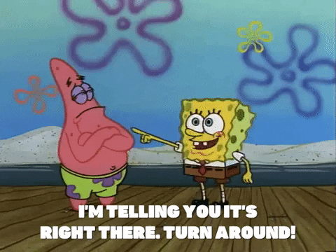 Season 1 GIF by SpongeBob SquarePants - Find & Share on GIPHY