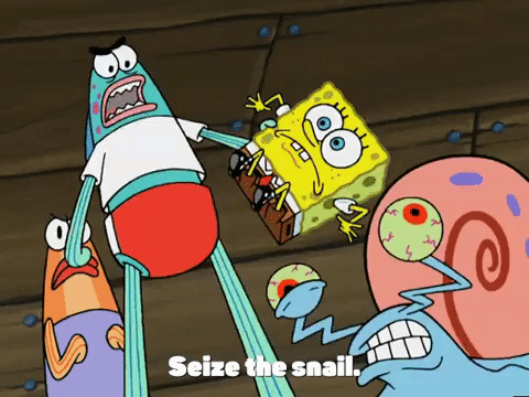 New Leaf Episode 13 GIF by SpongeBob SquarePants - Find & Share on GIPHY