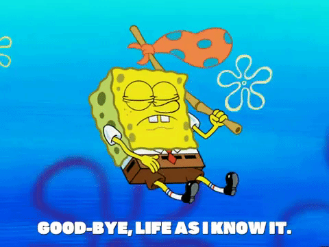 Season 5 GIF by SpongeBob SquarePants - Find & Share on GIPHY