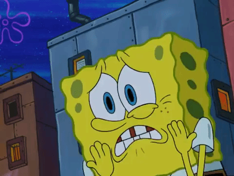 Season 5 GIF by SpongeBob SquarePants - Find & Share on GIPHY