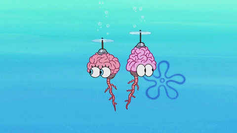 Episode 1 Whirly Brains GIF by SpongeBob SquarePants - Find & Share on ...