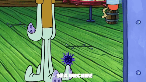 Season 9 Squid Defense GIF by SpongeBob SquarePants - Find & Share on GIPHY