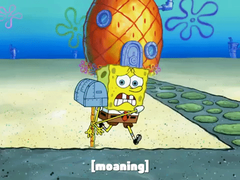 Season 7 GIF by SpongeBob SquarePants - Find & Share on GIPHY