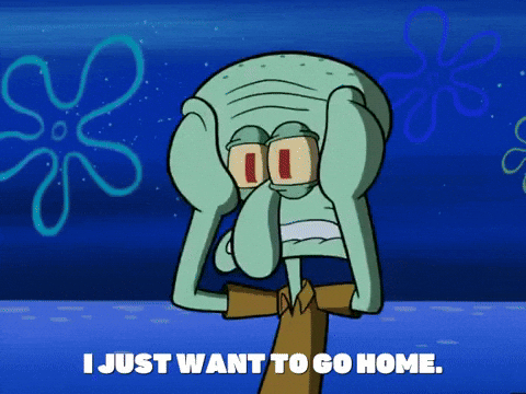 Season 6 GIF by SpongeBob SquarePants - Find & Share on GIPHY