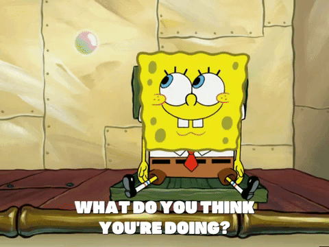 Season 5 GIF by SpongeBob SquarePants - Find & Share on GIPHY