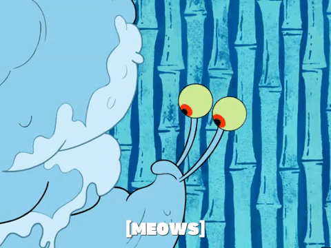 Season 5 GIF by SpongeBob SquarePants - Find & Share on GIPHY