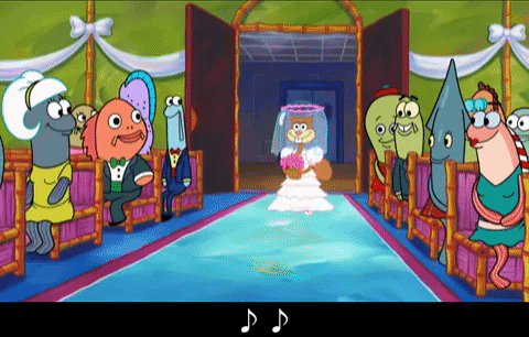Season 6 Episode 23 GIF by SpongeBob SquarePants - Find & Share on GIPHY