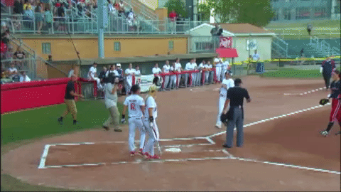 National Pro Fastpitch Softball GIF by USSSA Pride - Find & Share on GIPHY