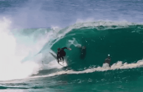 Surf Dolphin GIF by Sport Decouverte - Find & Share on GIPHY