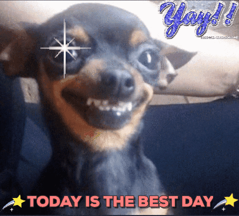 Today Is The Best Day GIF by Romy - Find & Share on GIPHY