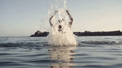 Water Dive GIF by Best Youth - Find & Share on GIPHY