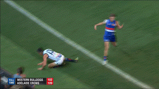 GIF by AFL - Find & Share on GIPHY