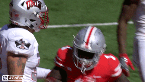 Ncaa Sports GIF by Ohio State Athletics - Find & Share on GIPHY
