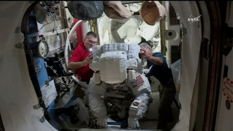 Space Astronaut GIF by NASA - Find & Share on GIPHY
