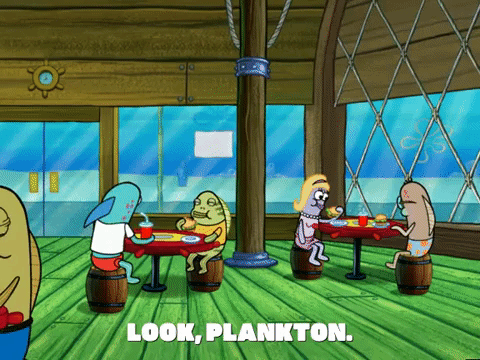 Season 6 Patty Caper GIF by SpongeBob SquarePants - Find & Share on GIPHY