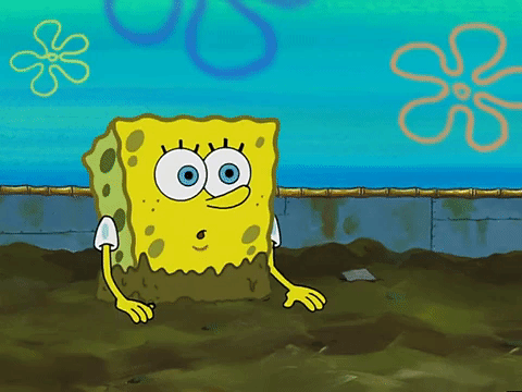 Season 3 Missing Identity GIF by SpongeBob SquarePants - Find & Share ...