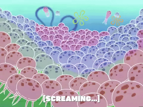 Season 4 GIF by SpongeBob SquarePants - Find & Share on GIPHY