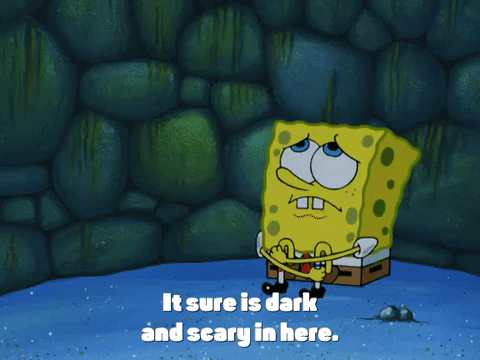 Season 4 GIF by SpongeBob SquarePants - Find & Share on GIPHY