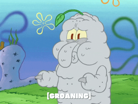 Season 4 GIF by SpongeBob SquarePants - Find & Share on GIPHY