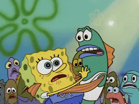 Season 1 GIF by SpongeBob SquarePants - Find & Share on GIPHY
