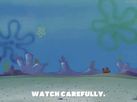 Season 1 GIF by SpongeBob SquarePants - Find & Share on GIPHY