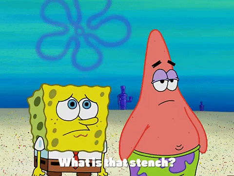 Season 3 Missing Identity GIF by SpongeBob SquarePants - Find & Share ...