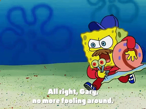 Season 3 The Great Snail Race GIF by SpongeBob SquarePants - Find ...