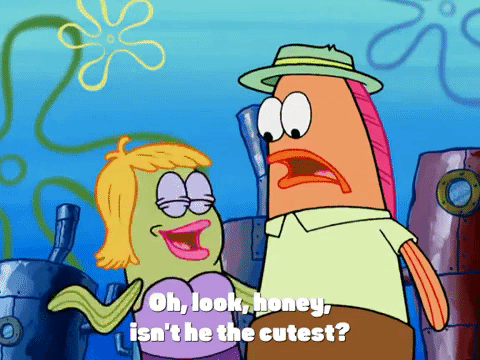 Season 4 Episode 13 GIF by SpongeBob SquarePants - Find & Share on GIPHY