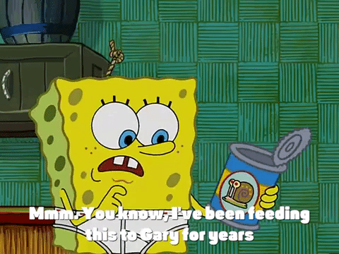 Season 3 Missing Identity GIF by SpongeBob SquarePants - Find & Share ...