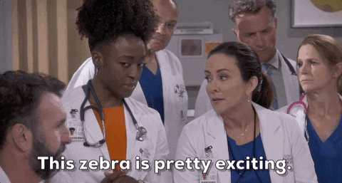 Carols Second Act GIF by CBS - Find & Share on GIPHY