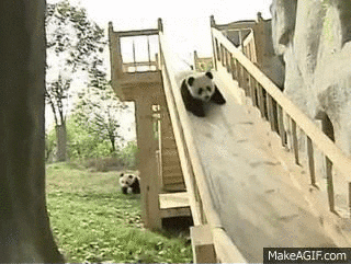 Slides GIF - Find & Share on GIPHY