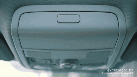 - Find & Share on GIPHY