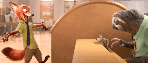 GIF by Disney Zootopia - Find & Share on GIPHY