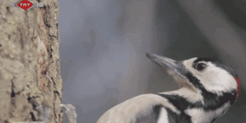 Weird GIF by Cosmic Evil - Find & Share on GIPHY