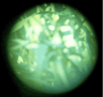 Film Circle GIF by Leandro Estrella - Find & Share on GIPHY