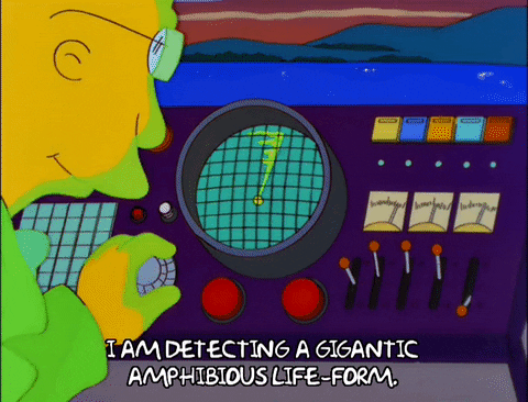 Detecting GIFs - Find & Share on GIPHY