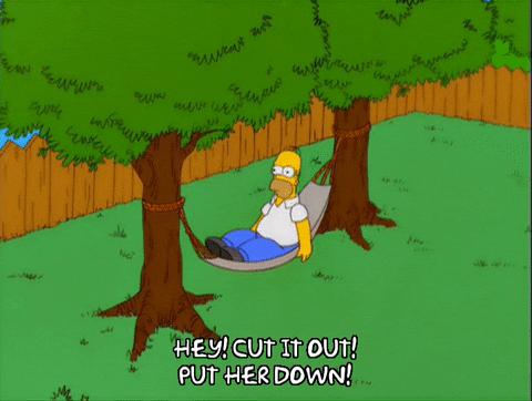 Homer Simpson Surprise GIF - Find & Share on GIPHY