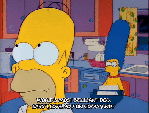 Season 2 GIF - Find & Share on GIPHY