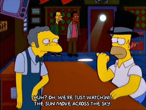 Homer Simpson Sun GIF - Find & Share on GIPHY