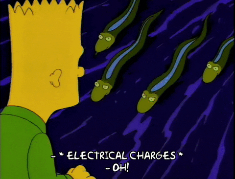 Season 5 GIF - Find & Share on GIPHY