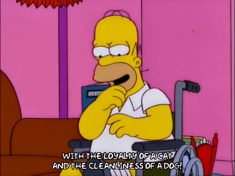 Homer Simpson GIF - Find & Share on GIPHY